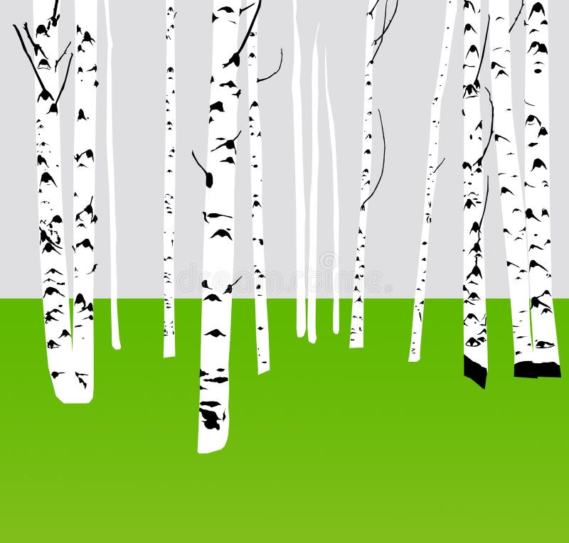 Birch Trees Stock Vector Illustration Of White Branches 94137065