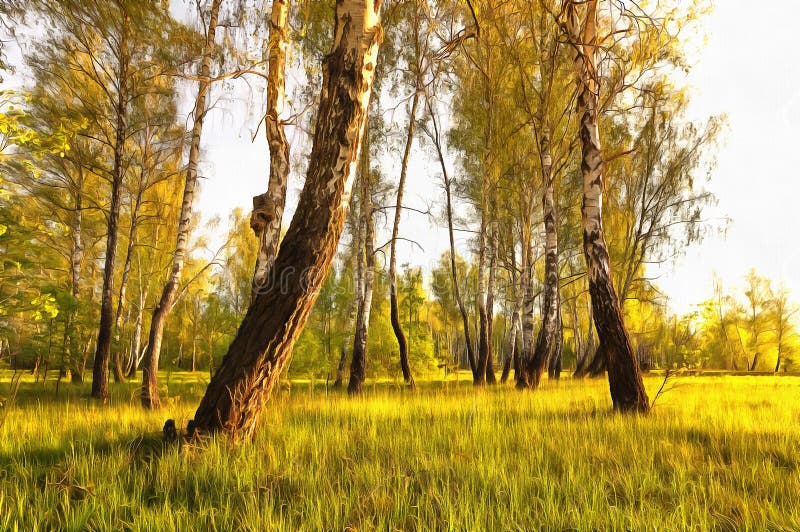 Birch Trees on a Sunny Glade at Dawn Stock Image - Image of mist, birch ...