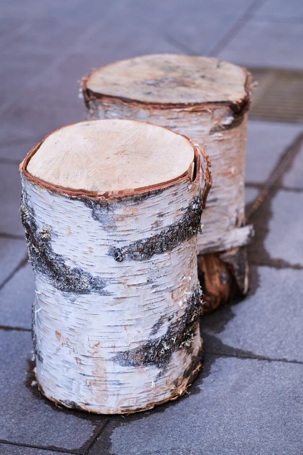 Birch Trunk Stools Stock Photos - Free & Royalty-Free Stock Photos from ...