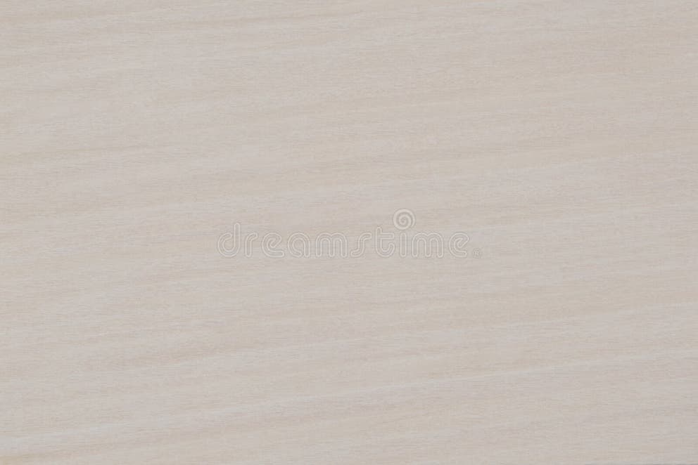 Birch Wood Background stock image. Image of abstract - 234291629