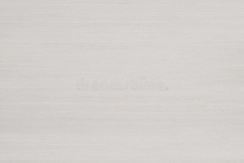 Birch 2 Wood Background stock photo. Image of patterned - 244479582