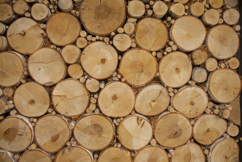 Stacked branches pattern stock image. Image of birch - 109753605