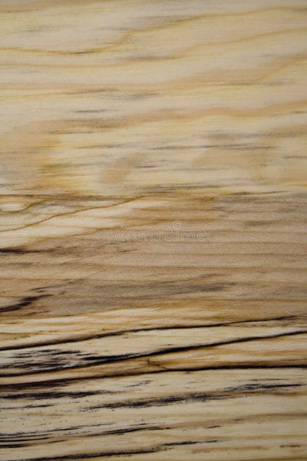 Birch Wood Grain with Dark Streaks Close-up Stock Photo - Image of burl ...