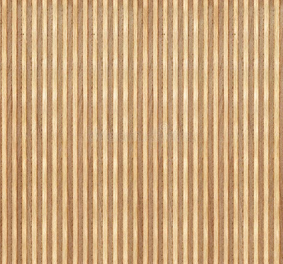 Birch wood section texture stock image. Image of abstract - 33953077
