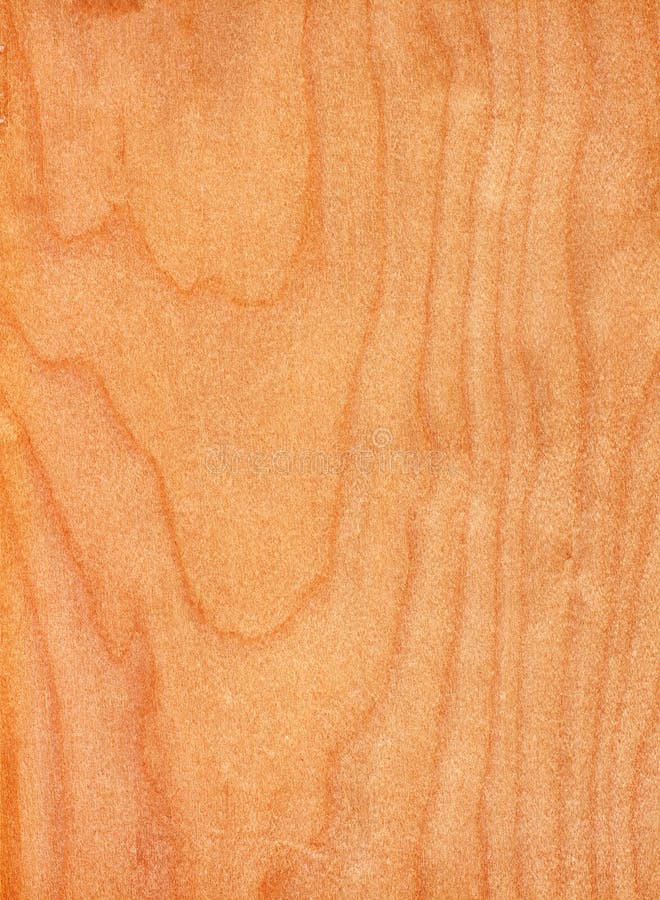 Birch (wood texture) stock photo. Image of closeup, planks - 23701024