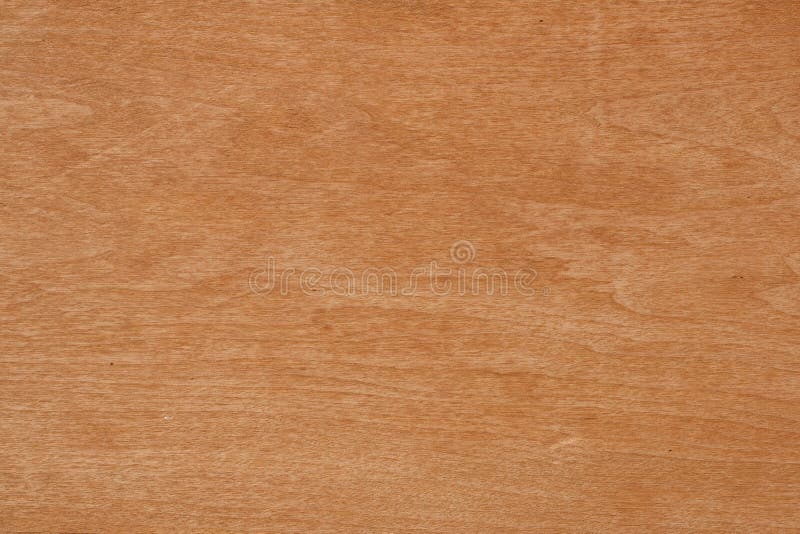Birch Plank Texture