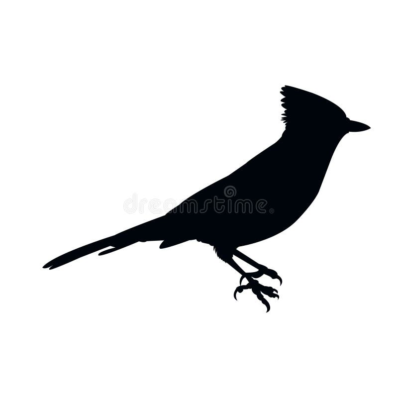 Vector Black Male Cardinal Bird Vector Icon. Stock Vector ...