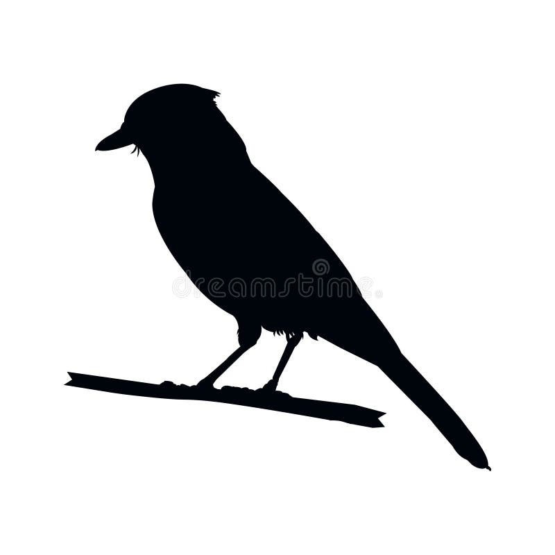 Vector Black Male Cardinal Bird Vector Icon. Stock Vector ...