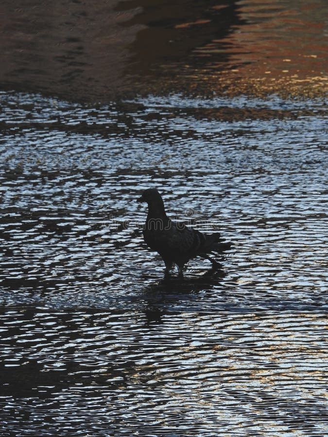 Fl K (Photosnak) - Photographer profile