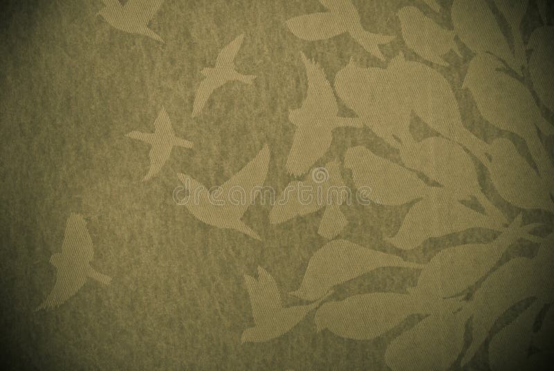 Bird abstract background stock image. Image of scratched - 26658427
