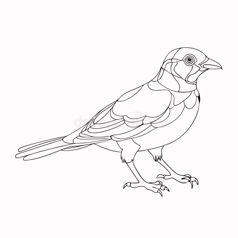 Bird Abstract Continuous Line Art Design on White Background Stock ...