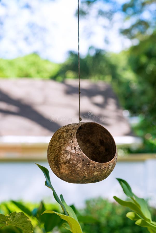 Bird Animal Feeder Nest Outdoors Hanging on a String from the Roof ...