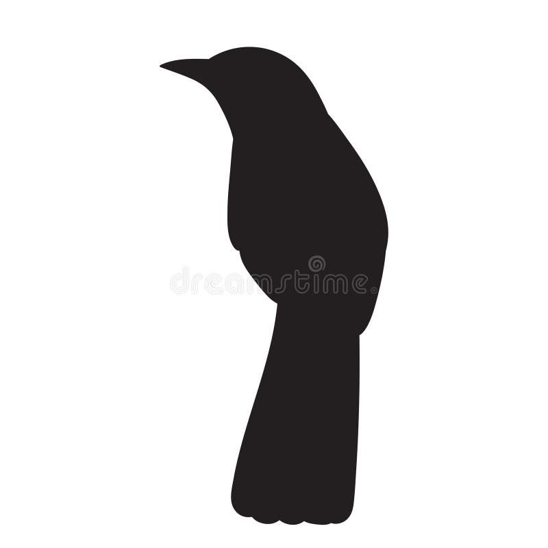 Bird Back View Silhouette on White Background Vector Vector Stock ...