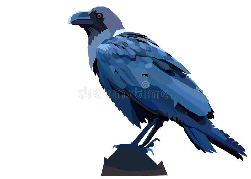 Bird Black Crow Illustration Side View Stock Vector - Illustration of ...