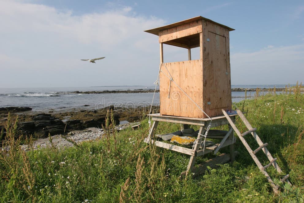 Bird Blind stock image. Image of birdwatching, birdwatch - 1129149