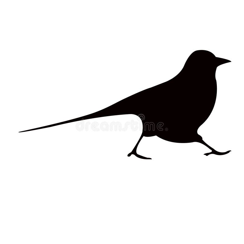 A Bird Body Silhouette Vector Stock Vector - Illustration of wing ...