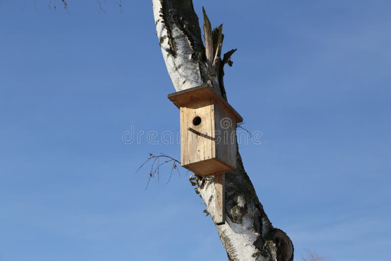 Bird box stock image. Image of handmade, spring, bird - 85421281