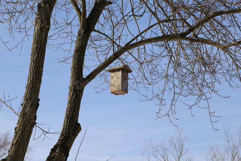 Bird box stock image. Image of life, decor, colorful - 85421765