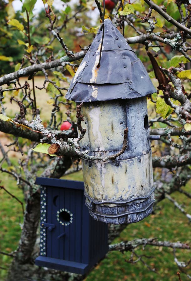 Bird boxes stock photo. Image of field, detail, farm, grow - 1423494