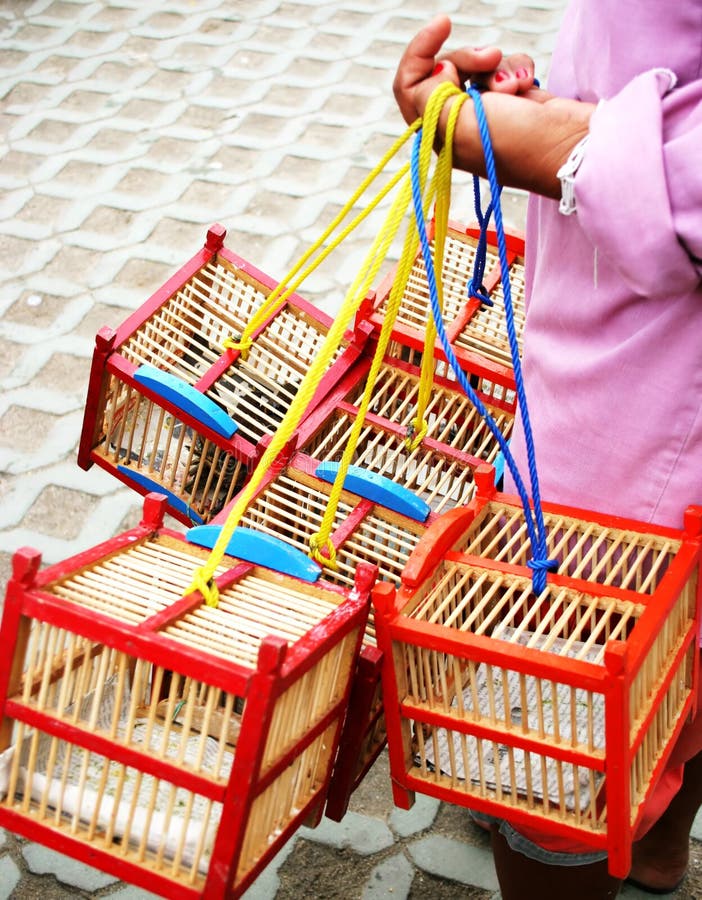 Bird boxes stock photo. Image of closeup, district, travel - 775532