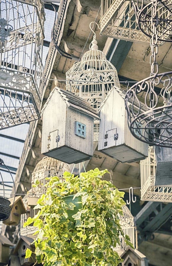 Bird boxes in shop stock image. Image of birdbox, design - 37493601