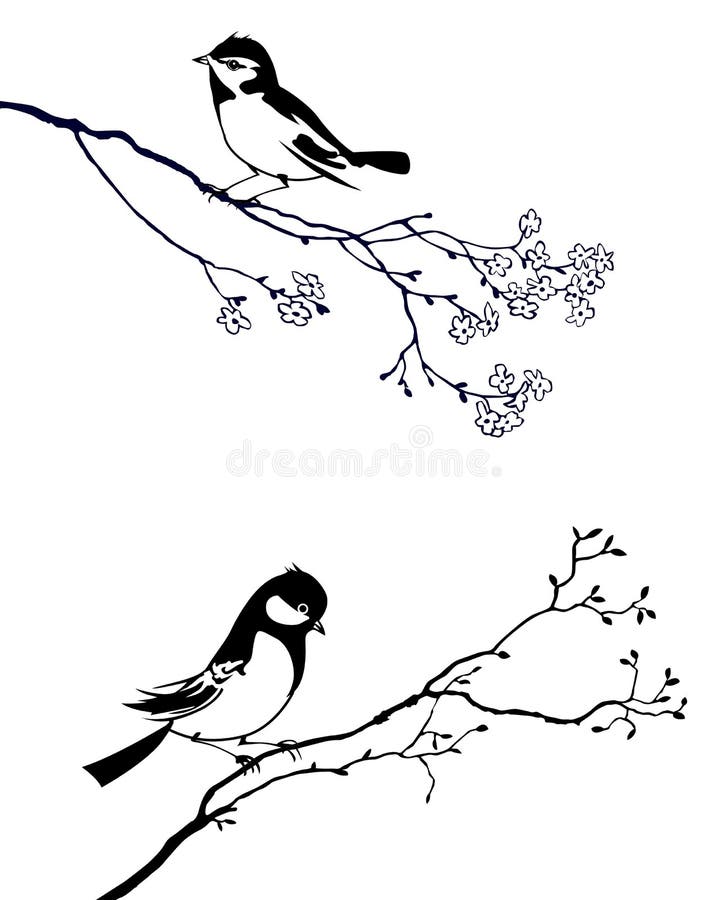 Bird on branch tree stock vector. Illustration of leaf - 11646957