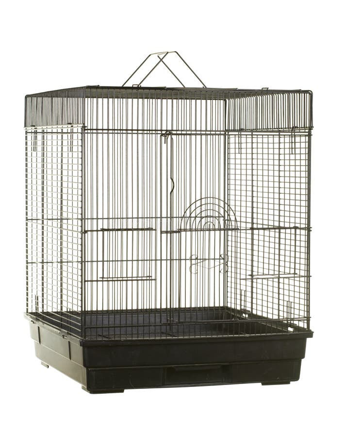Bird Cage stock photo. Image of captive, empty, door - 15050578