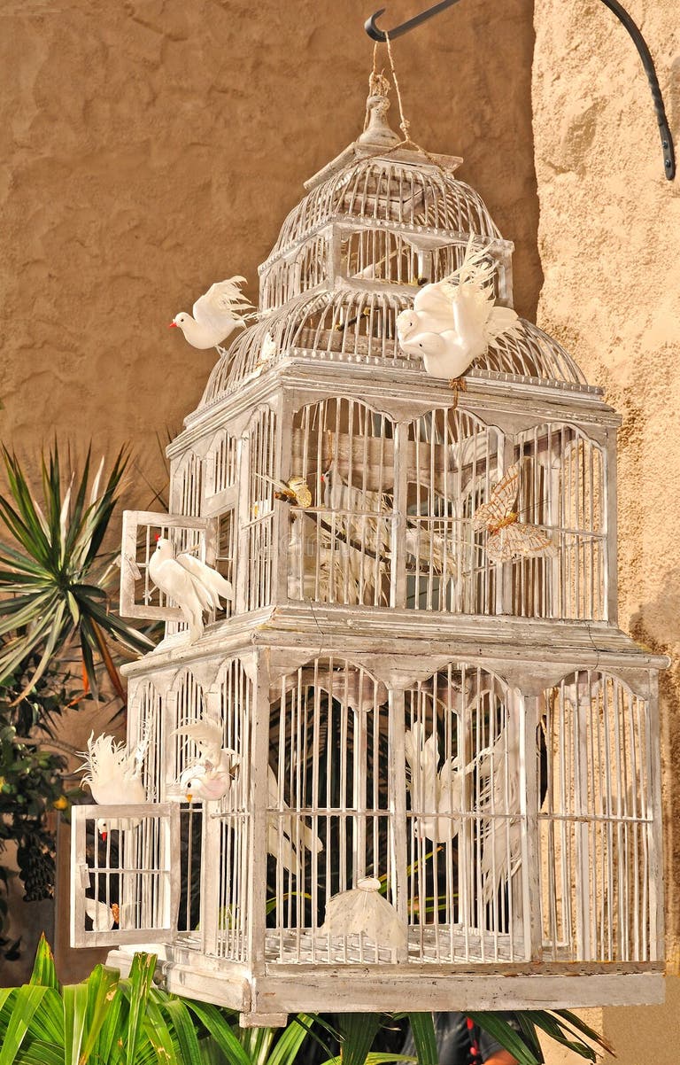 1,347 Open Bird Cage Stock Photos - Free & Royalty-Free Stock Photos ...