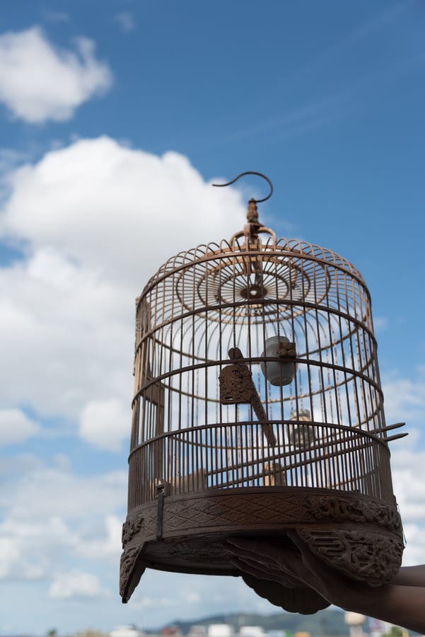 1,040 Open Bird Cage Stock Photos - Free & Royalty-Free Stock Photos ...
