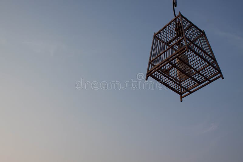 Bird cage stock photo. Image of break, dove, concept - 48648268