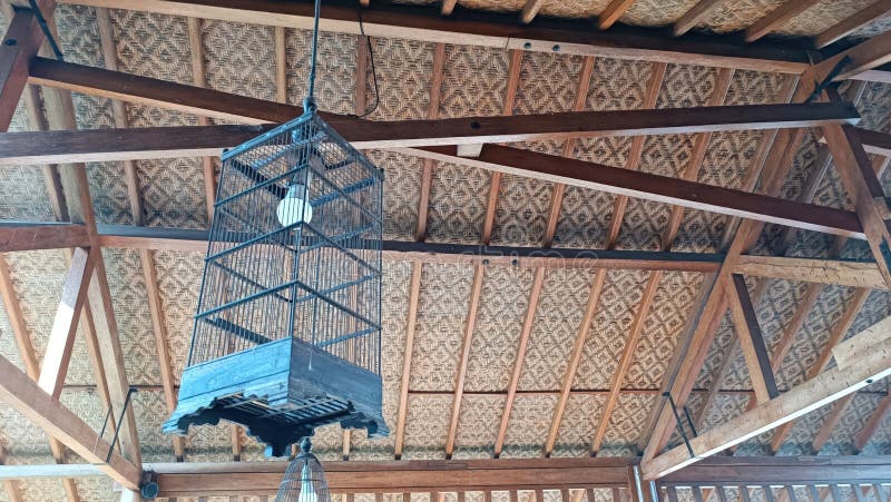 A Bird Cage Hanging from the Ceiling Stock Image - Image of ancient ...