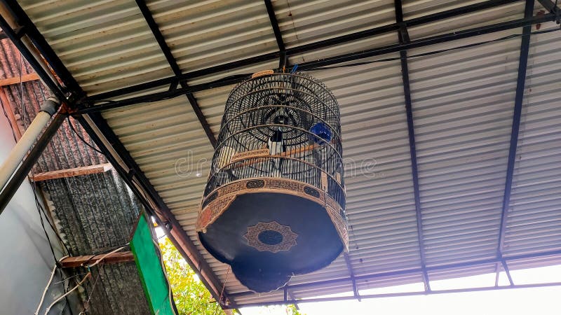 A Bird Cage is Hung in Front of the Terrace of a Resident S House Stock ...