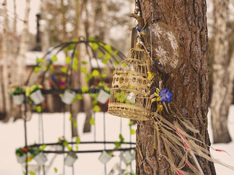 Bird cage on a tree stock photo. Image of natural, nest - 114284786