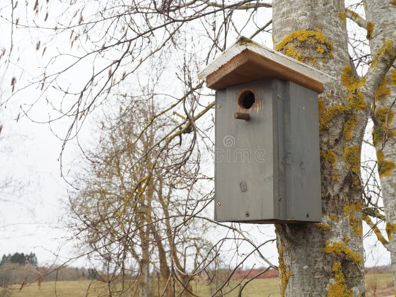 Bird Cage in a Tree. Gray Bird House Stock Image - Image of house, blue ...