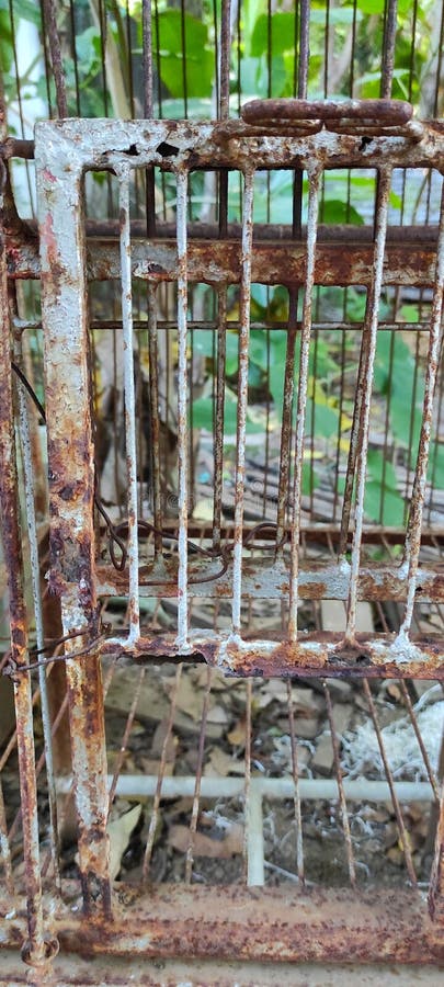 The Bird Cage, Which Was Made of Iron but Was Rusty and Badly Damaged ...