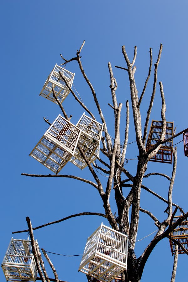 Bird Cages stock photo. Image of birdcage, forbidden - 28497488