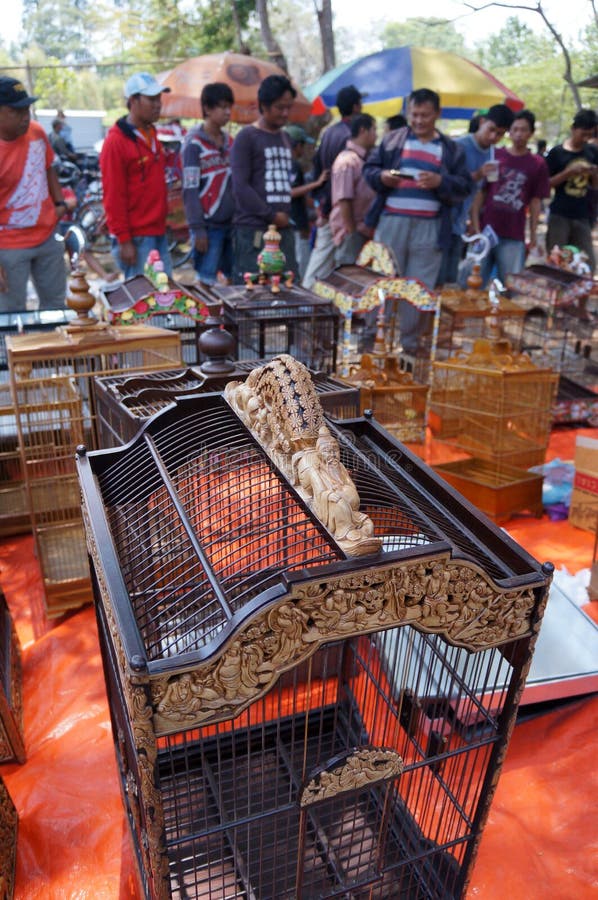 111 Indonesia Java Bird Cages Cup Stock Photos - Free & Royalty-Free ...