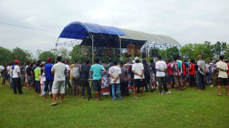 Bird call contest editorial photo. Image of call, gesture - 44140086