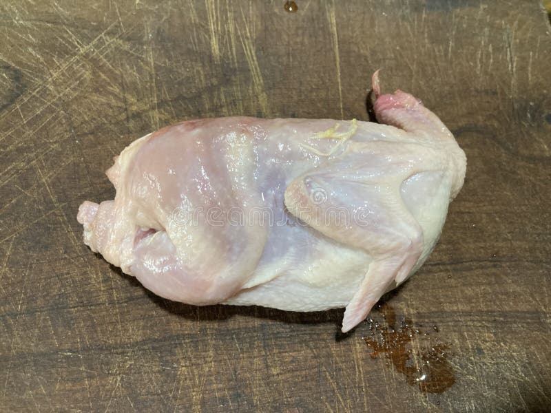 Bird Carcasses Quail and Chicken Stock Image - Image of tasty, bird ...