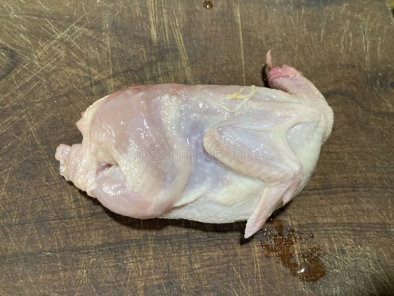 Bird Carcasses Quail and Chicken Stock Image - Image of tasty, bird ...