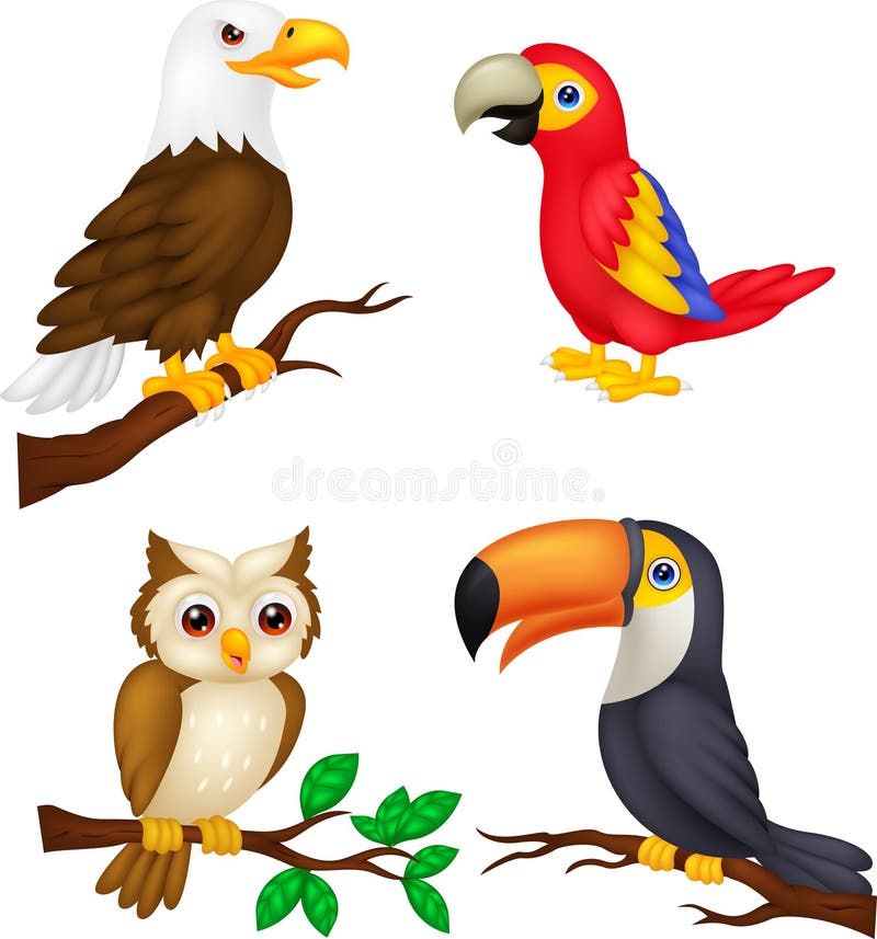 Cute Cartoon Birds stock vector. Illustration of collection - 24560319