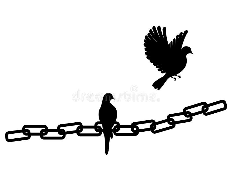 Flying Bird Silhouette on Sunset / Sunrise, Vector. Hummingbird ...