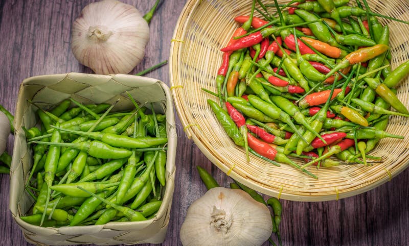 Bird Chilli in basket stock photo. Image of cayenne, decoration - 84100816