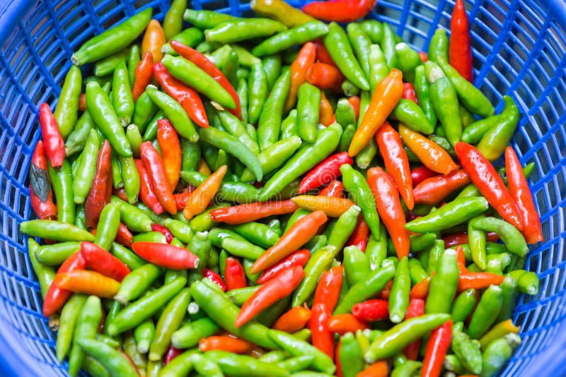 Bird chilli stock photo. Image of tropical, flavouring - 20938476
