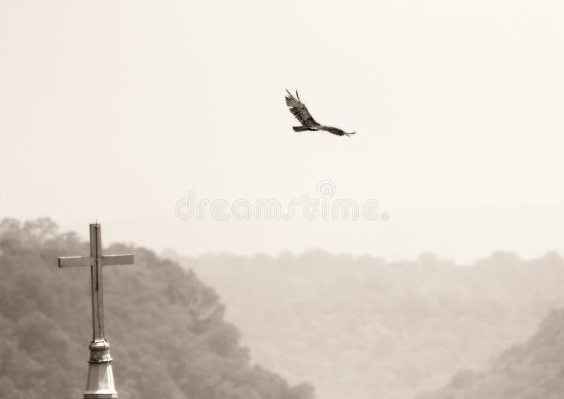 Church Bird Tree Silhouettes Stock Photo - Image of silhouette ...