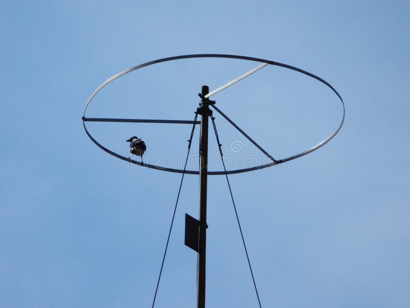 1,510 Circle Antenna Photos - Free & Royalty-Free Stock Photos from ...