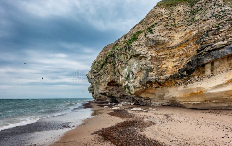 Bird Cliffs in Bulbjerg Near Lild Beach in Thy, Denmark Stock Photo - Image of coast, bird ...