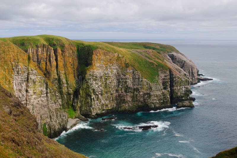 Bird Cliffs in Newfoundland Stock Photo - Image of scenic, rock: 26122070