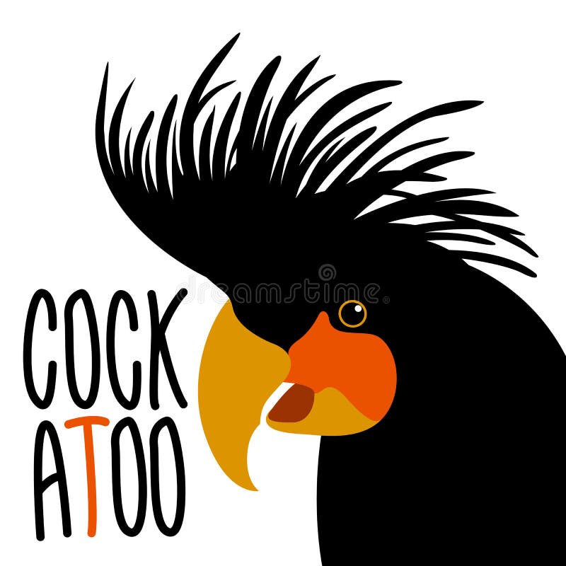 Bird Cockatoo Head Vector Illustration Flat Style Profile Stock Vector Illustration Of Fauna