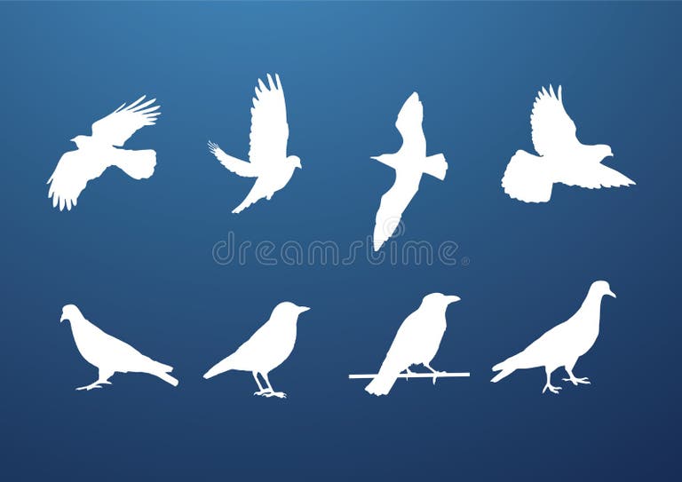 Bird Formation Stock Illustrations – 3,611 Bird Formation Stock ...